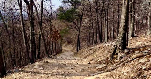 The Dworkin Report | Scott Dworkin | Substack