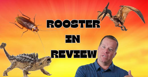 The Rooster | D.J. Byrnes | Substack