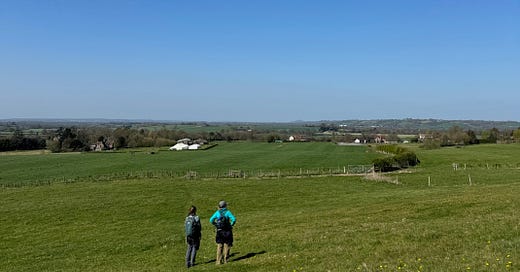 Common Farm Flowers by Georgie Newbery | Substack