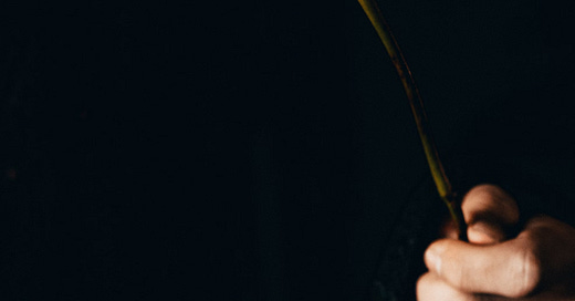 Poetically Prosed | Taru Marcellus | Substack