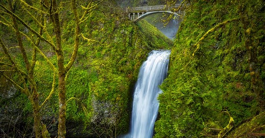 The Photographer's Perspective | Jason Odell | Substack