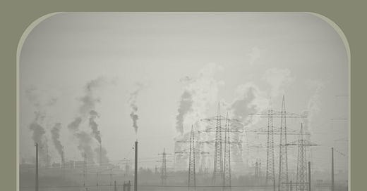 The Husk | Jasmine Stole Weiss | Substack