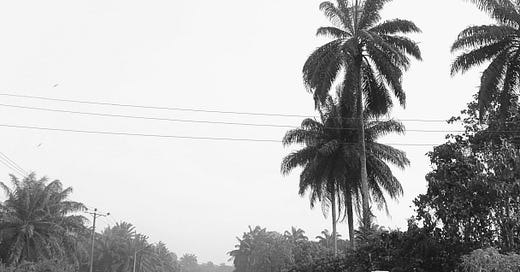 The 20 Something Newsletter | Treasure Okure | Substack