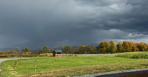 House of Green | Alexandra Fasulo | Substack