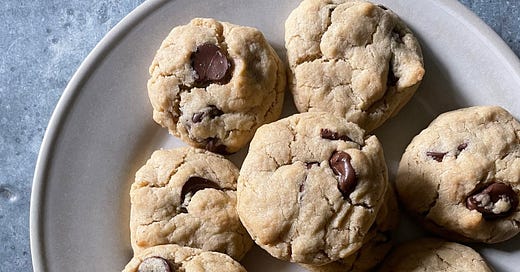 Ashley’s Substack | Ashley M. | Substack