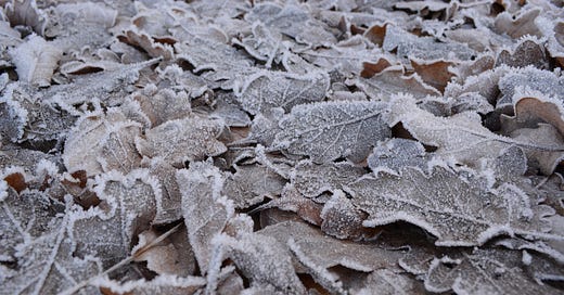 Potency | Alison Smith | Substack