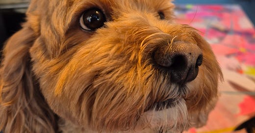 Body Organics Education- MoveMent | Body Organics - MoveMent | Substack