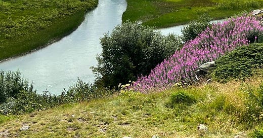 Daniel Sans | Substack