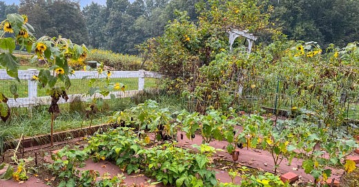 5 Systems for a Better Garden and Homestead