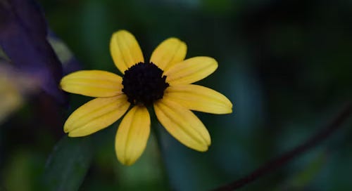 Trauma to Strength | Leon Macfayden | Substack