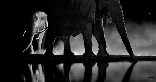 Diario de la Procrastinación | Diego Geddes | Substack