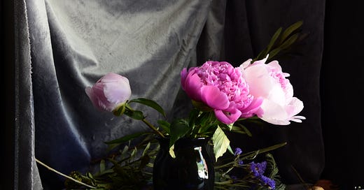 Art Without Due Diligence | Sasha Latypova | Substack