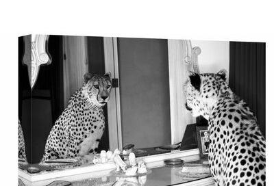 The Creative Genius Club | Shevaun Stonem | Substack