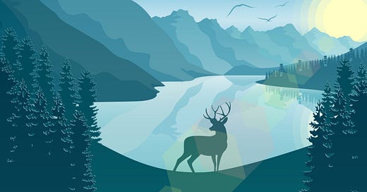 The Author Ecosystems | Substack