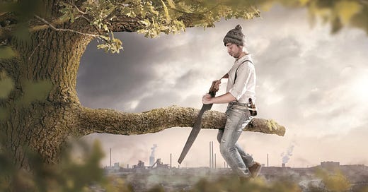 Mohamed Shabka | Substack