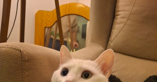 The Exile Files | Peter William Murphy | Substack