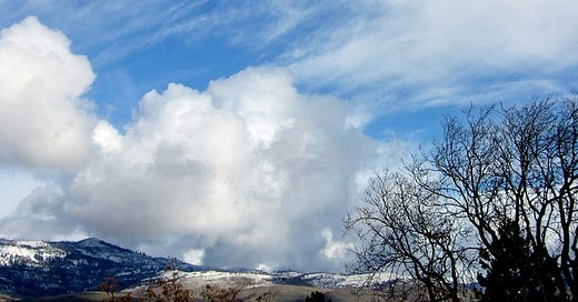 Right Now, Just As It Is | Joan Tollifson | Substack