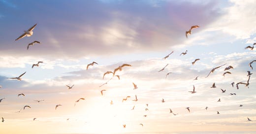 TRANSFORM with Marianne Williamson | Substack