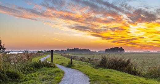 TRANSFORM with Marianne Williamson | Substack