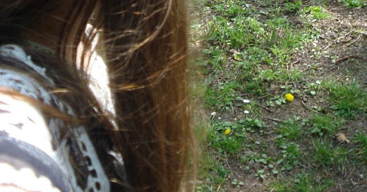 The Painted Caravan | Isabella Ann | Substack