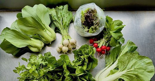 Eat Like a Farmer | Michelle Aronson | Substack