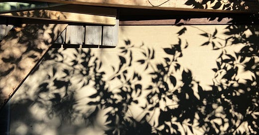 Heart & Hope | Anna Tran | Substack