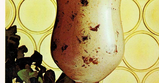 LILEKS (James) | James Lileks | Substack