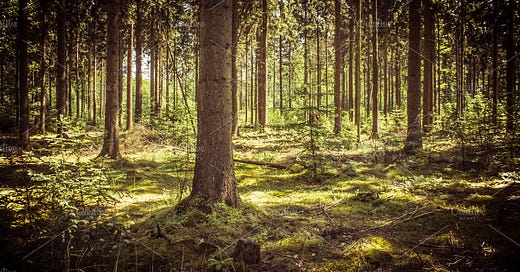 Willerby’s Substack | Substack