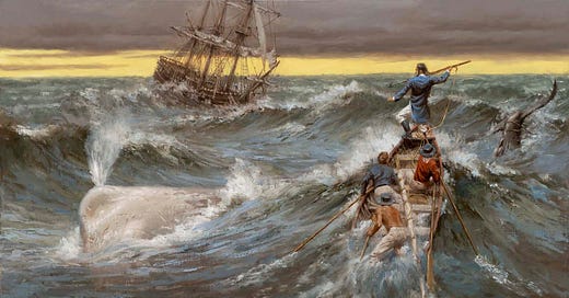 The Metaphor | James Taylor Foreman | Substack