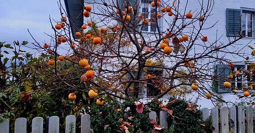 The Human Advantage with Natalia Blagoeva | Substack