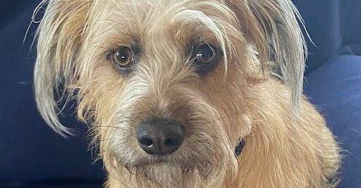 The Positive Pen | John Rinaldo | Substack