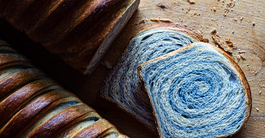 The Sassafras Curio | Martin Philip | Substack