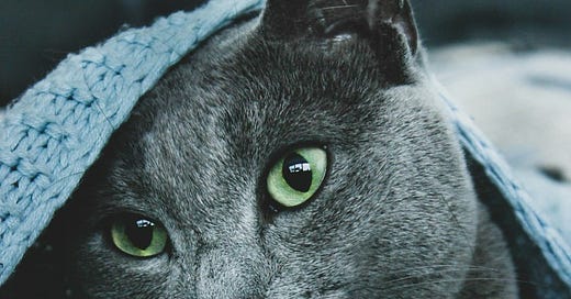 Aging Well Newsletter | Janice Walton | Substack