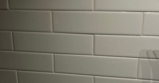 healthful radiance | angie caruso | Substack