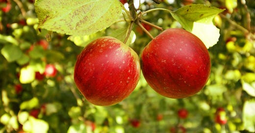 Customer Obsessed Engineering | Zac Beckman | Substack