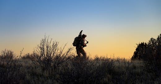 FPRI Insights | Substack