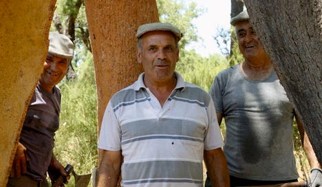 PATRÓN CRIOLLO | Substack