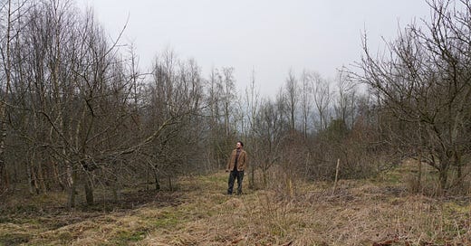 Wild Way: Gardening with Wildlife by Jack Wallington | Substack