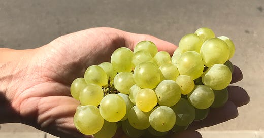 The Hinternet | Justin Smith-Ruiu | Substack