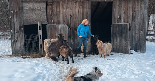 Backyard Farming Connection: Homesteading and Gardening | Gretchen at Backyard Farming | Substack