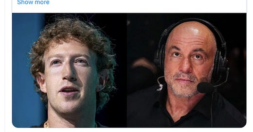 BIG by Matt Stoller | Substack