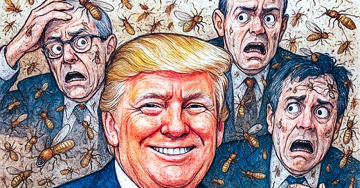 The Sound & Reason | Bill King | Substack