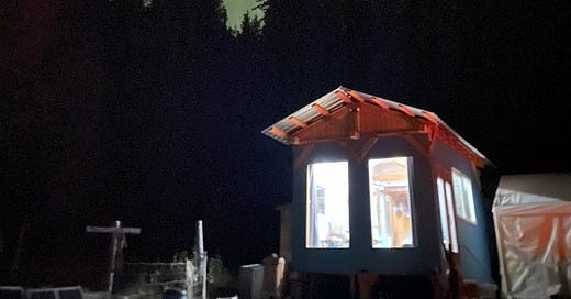 Wild Life with Amy Jay | Substack