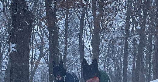 J.F. Riordan; Reflections on a Life in Exile | J. F. Riordan | Substack