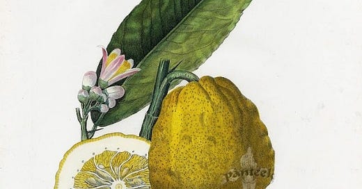 Julia R’s Substack | Julia Regine Cincinatis | Substack