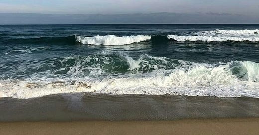 Love, Riss | Substack