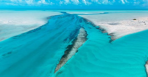 A Continuous Lean | Michael Williams | Substack