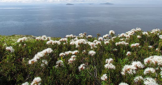 Biotic Regulation and Biotic Pump | Anastassia Makarieva | Substack