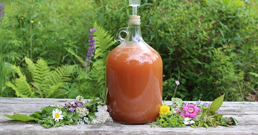 Practical Self Reliance | Ashley Adamant | Substack