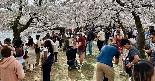 Tusk | Seth Masket | Substack